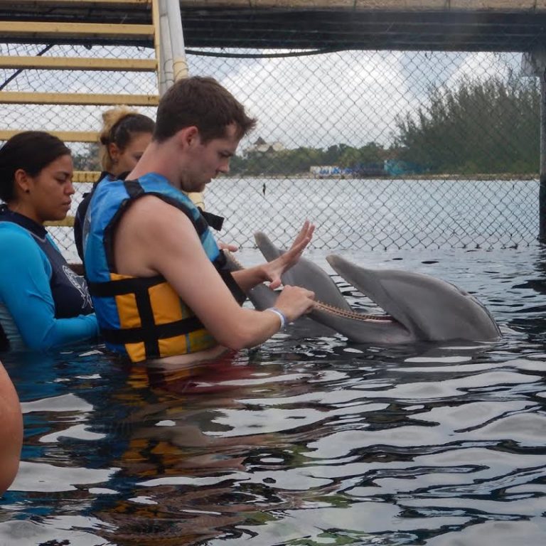 Study Abroad in North / Central America | International Veterinary ...